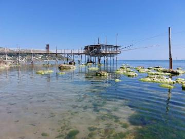 Case e appartamenti a Fossacesia Marina. Immobili in vendita a ...